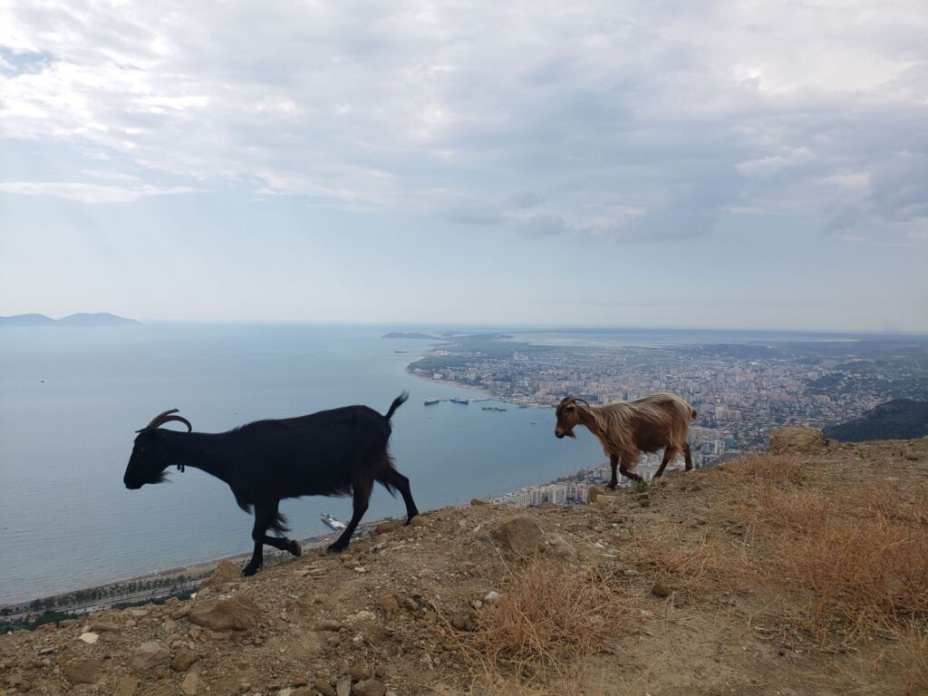 Jewish Heritage Tour of Montenegro, Albania, and Corfu (Greece ...